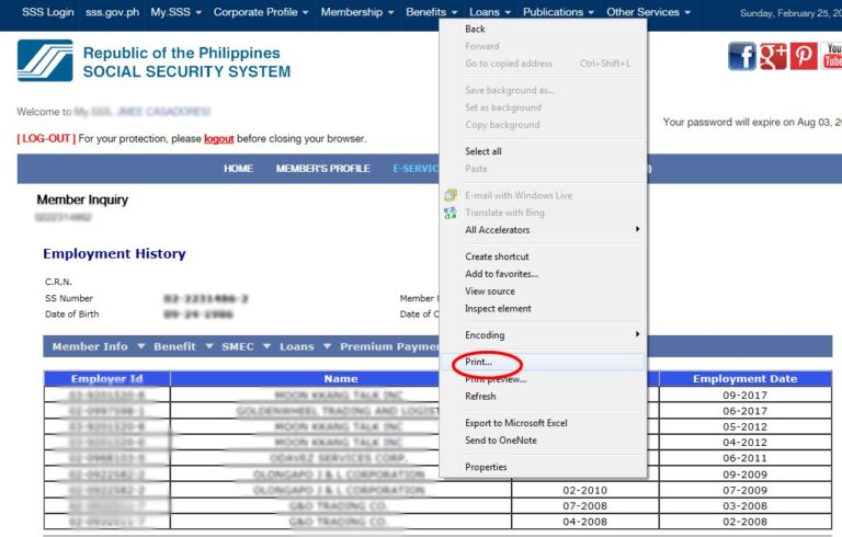 How To View your Employment History From SSS Website - SSS Guides