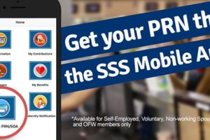 How To Check Your Outstanding SSS Loan Balance ONLINE - SSS Guides